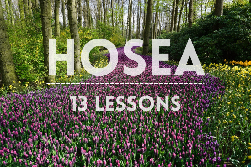 Hosea Inductive Bible Study Guide - 13 Online Lessons With Questions