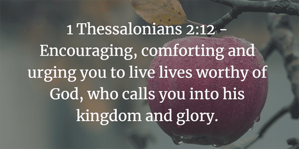 Colossians 1:9-20 Inductive Bible Study Notes With Practical Questions