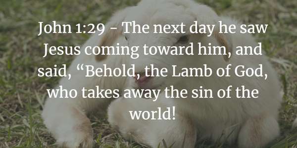 1 John 5:1-10 Inductive Bible Study and Questions